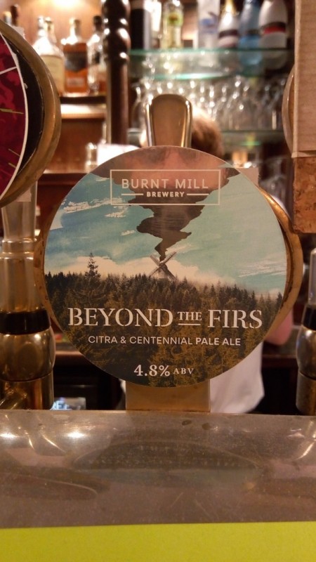 Cerveja Burnt Mill Beyond The Firs Citra & Centennial Pale Ale - Burnt ...
